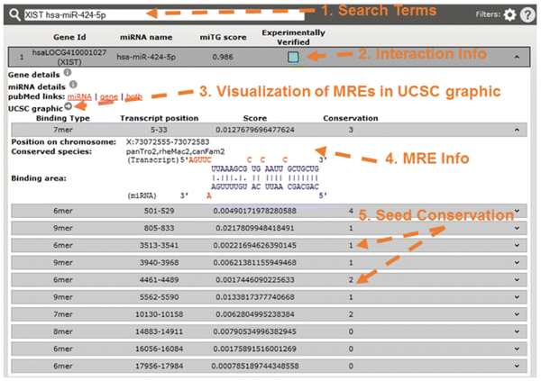 Analyzing MiRNA–LncRNA Interactions | SpringerLink