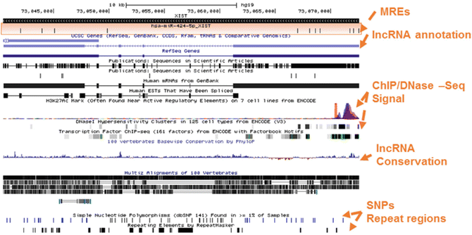 Analyzing MiRNA–LncRNA Interactions | SpringerLink