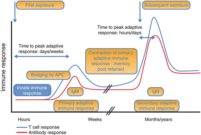 Principles of Vaccination | SpringerLink