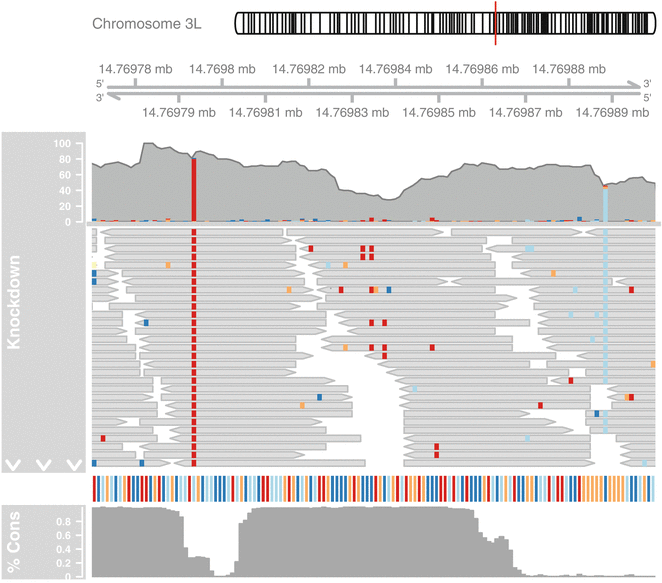 Visualizing Genomic Data Using Gviz and Bioconductor | SpringerLink