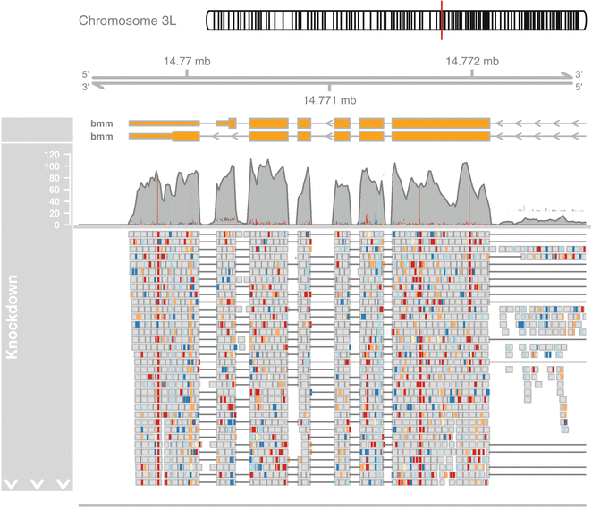 Visualizing Genomic Data Using Gviz and Bioconductor | SpringerLink
