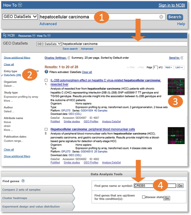 The Gene Expression Omnibus Database | SpringerLink