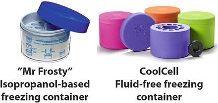 Cryopreservation and Revival of Human Mesenchymal Stromal Cells ...