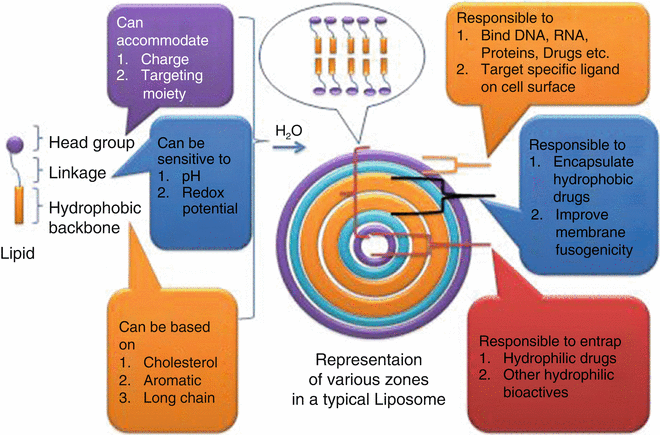 Physical Chemical and Biomolecular Methods for the Optimization of ...