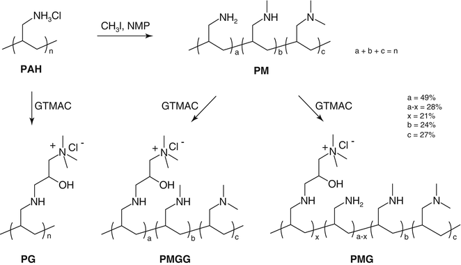 Polyallylamine Derivatives: Novel NonToxic Transfection Agents ...