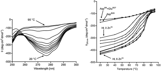 Circular Dichroism Spectroscopy for Structural Characterization of ...