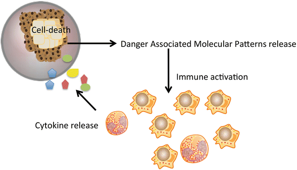 Historical Perspectives and Current Challenges in Cell ...
