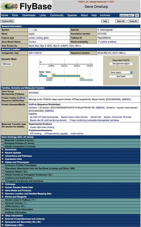Using FlyBase, a Database of Drosophila Genes and Genomes | SpringerLink
