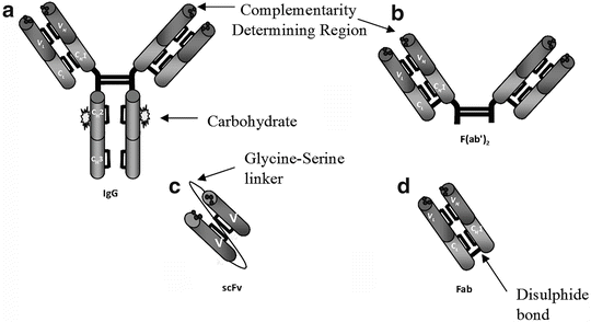 Immunoaffinity Chromatography: Concepts and Applications | SpringerLink