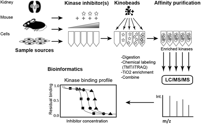 Emerging Methods in Chemoproteomics with Relevance to Drug Discovery ...