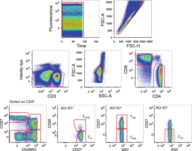 FACS Analysis of Memory T Lymphocytes | SpringerLink