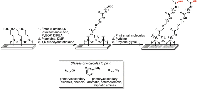 Discovery of RNA Binding Small Molecules Using Small Molecule Microarrays | SpringerLink