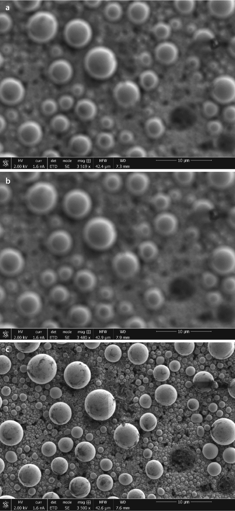 Scanning Electron Microscope (SEM) Instrumentation | SpringerLink