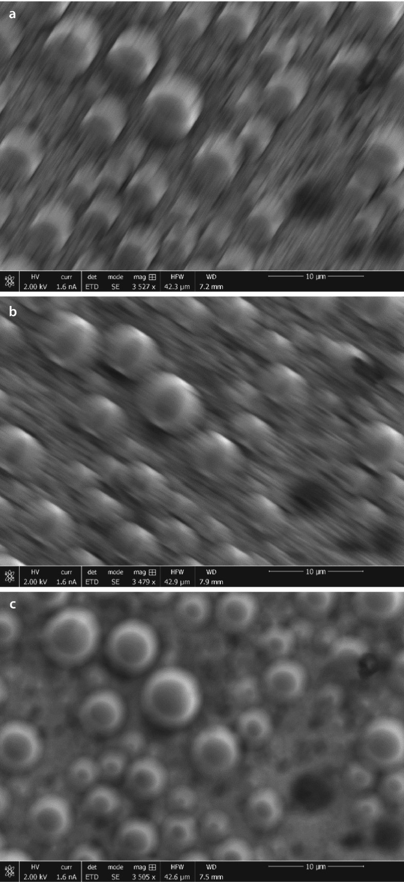 Scanning Electron Microscope (SEM) Instrumentation | SpringerLink