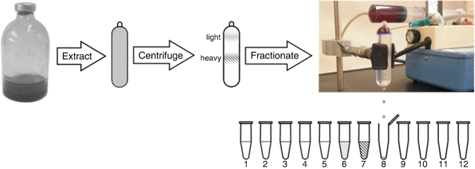 DNA-, RNA-, and Protein-Based Stable-Isotope Probing for High ...