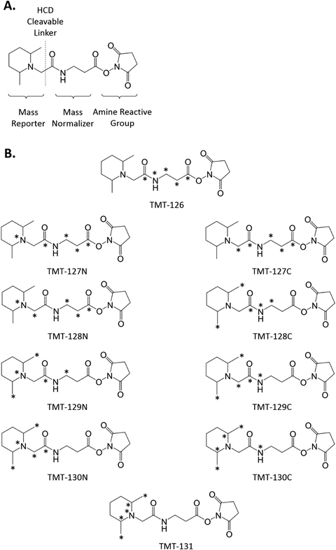 Relative Protein Quantification Using Tandem Mass Tag Mass Spectrometry ...