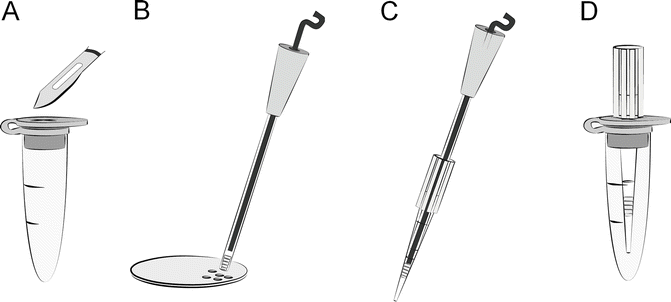 High pH Reversed-Phase Micro-Columns for Simple, Sensitive, and ...