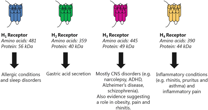 Methodologies to Identify and Analyze Genetic Polymorphisms for Human ...