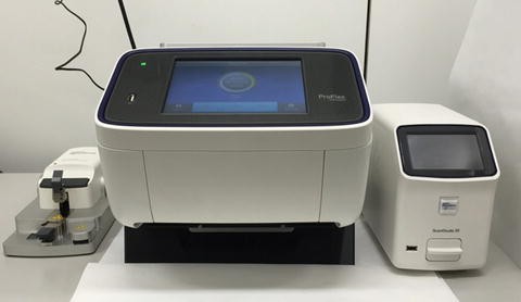 Detection of microRNAs Using Chip-Based QuantStudio 3D Digital PCR ...
