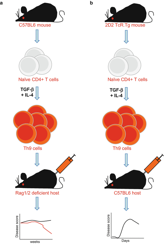 Characterization of Th9 Cells in the Development of EAE and IBD ...