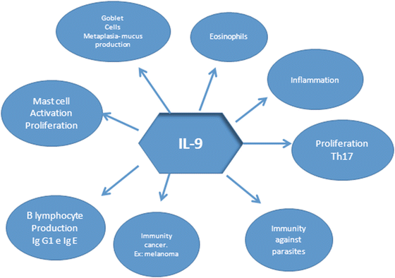 IL-9: Function, Sources, and Detection | SpringerLink