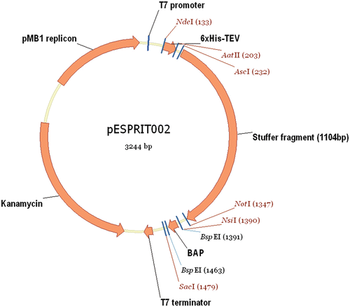 ESPRIT: A Method for Defining Soluble Expression Constructs in Poorly ...