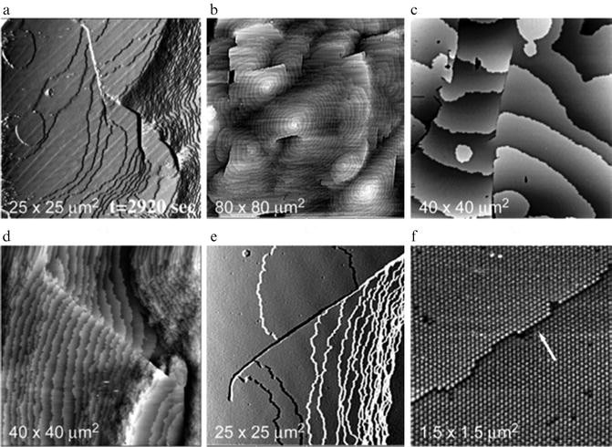 Protein Crystallization | SpringerLink
