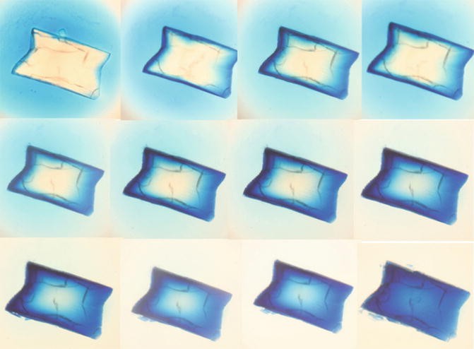 Protein Crystallization | SpringerLink