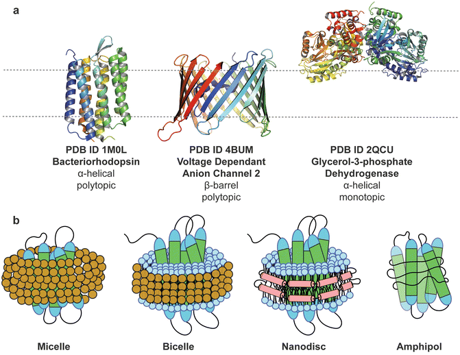 Crystallization of Membrane Proteins: An Overview | SpringerLink