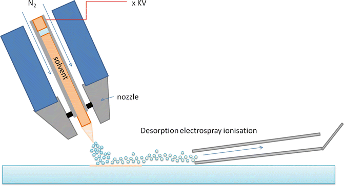 DESI Mass Spectrometry Imaging (MSI) | SpringerLink