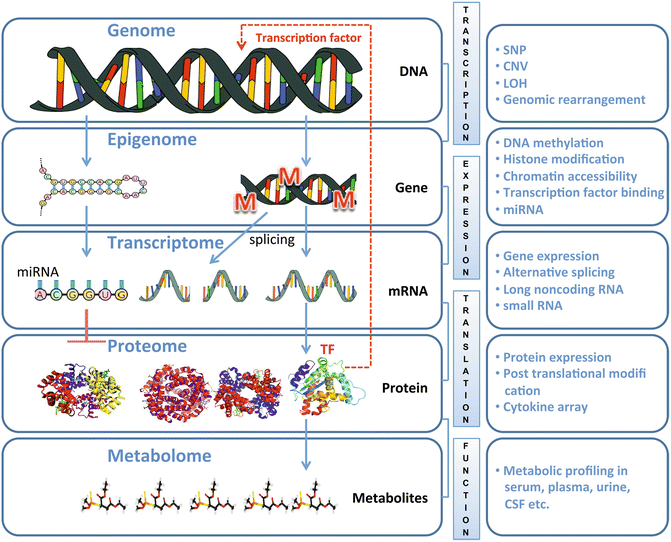 Integration of Transcriptomic and Proteomic Data for Disease Insights ...