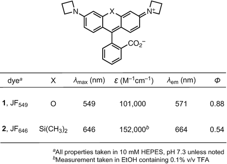 Synthesis of Janelia Fluor HaloTag and SNAP-Tag Ligands and Their Use ...