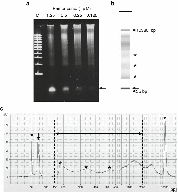 Profiling Open Chromatin Structure in the Ovarian Somatic Cells Using ...