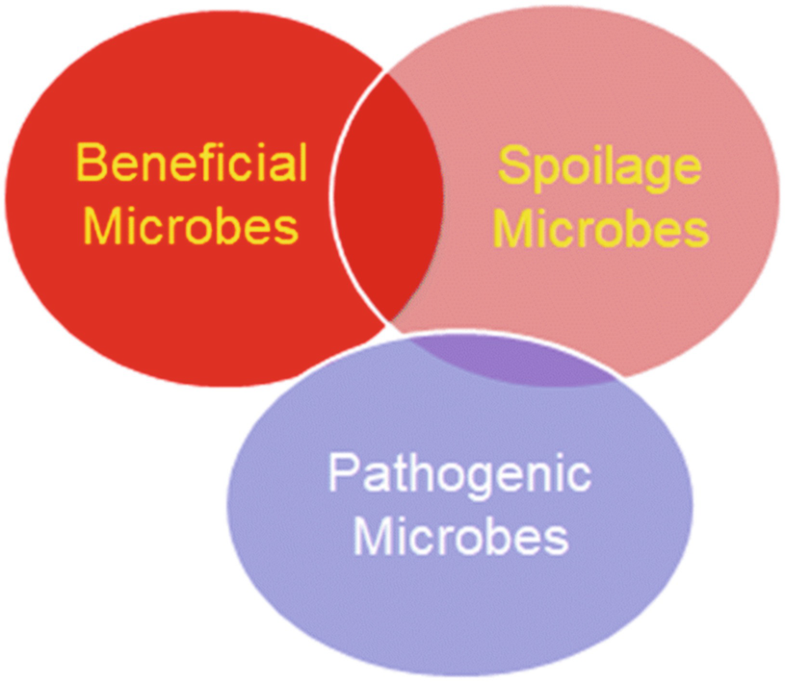 Introduction to Foodborne Pathogens | SpringerLink