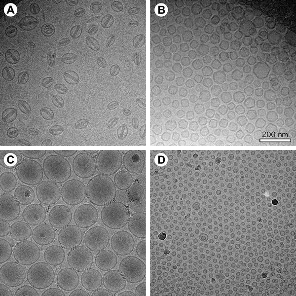 Imaging of Liposomes by Transmission Electron Microscopy | SpringerLink