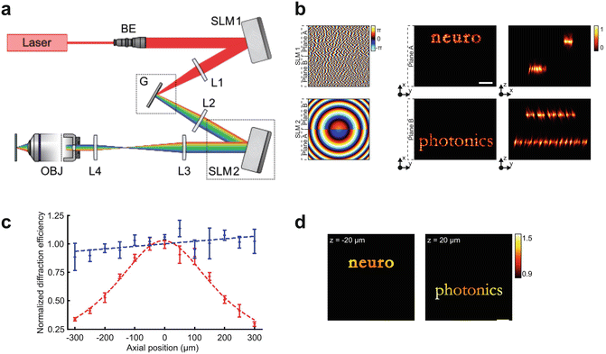 Two-Photon Optogenetics by Computer-Generated Holography | SpringerLink
