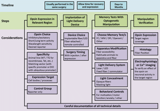 Employing Optogenetics in Memory Research | SpringerLink