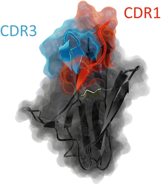 Generation of Semi-Synthetic Shark IgNAR Single-Domain Antibody ...