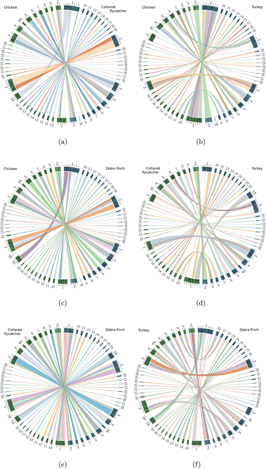 Sequence-Based Synteny Analysis of Multiple Large Genomes | SpringerLink