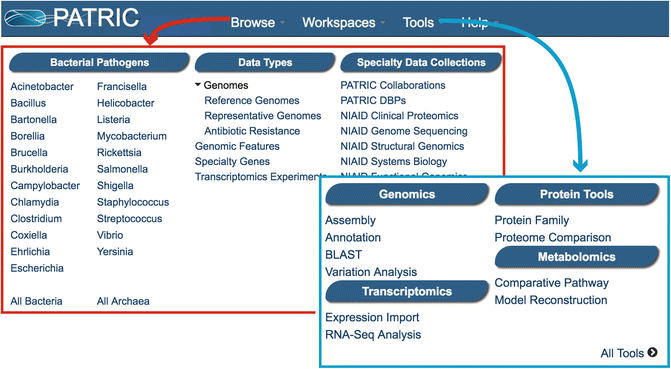 Assembly, Annotation, and Comparative Genomics in PATRIC, the All ...