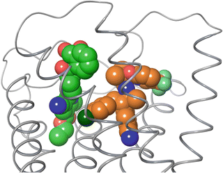 Current and Future Challenges in GPCR Drug Discovery | SpringerLink