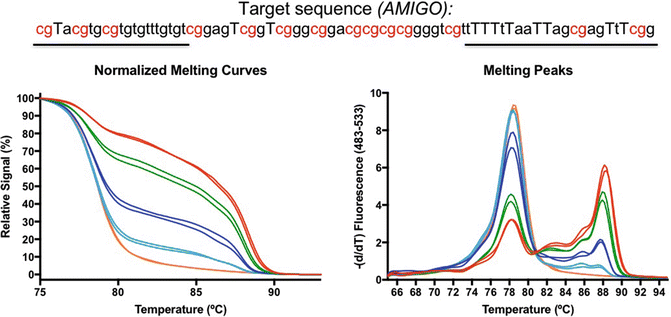 Methylation-Sensitive High Resolution Melting (MS-HRM) | SpringerLink