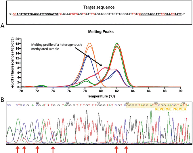Methylation-Sensitive High Resolution Melting (MS-HRM) | SpringerLink