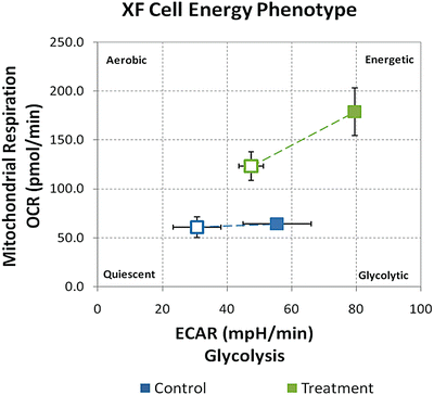 Measurement of Oxidative Stress: Mitochondrial Function Using the ...