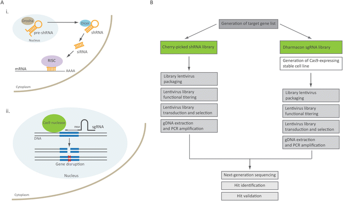A Comprehensive Protocol Resource for Performing Pooled shRNA and ...