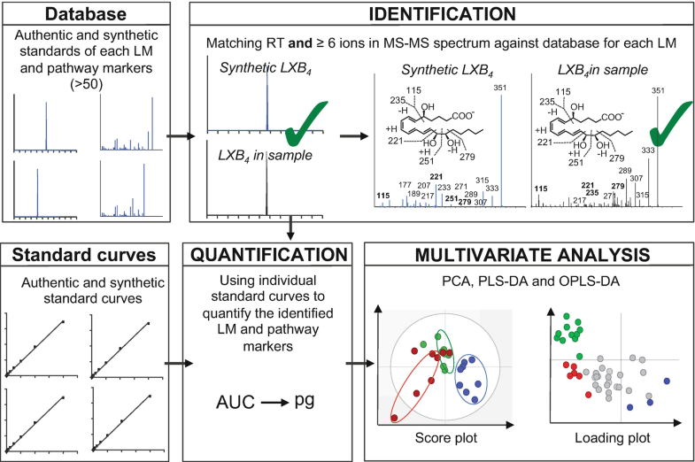 Lipid Mediator Metabolomics Via LC-MS/MS Profiling and Analysis ...