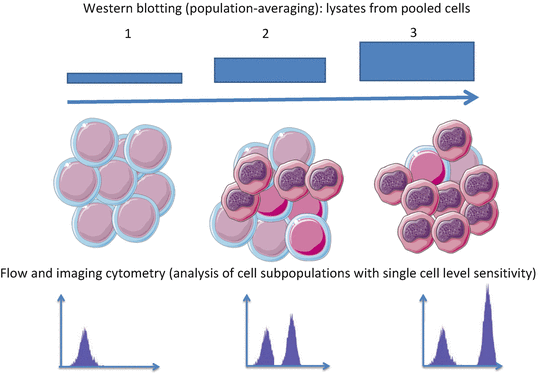 Heterogeneity of Metazoan Cells and Beyond: To Integrative Analysis of ...