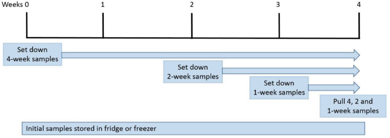 Predictive Stability Testing Utilizing Accelerated Stability Assessment ...