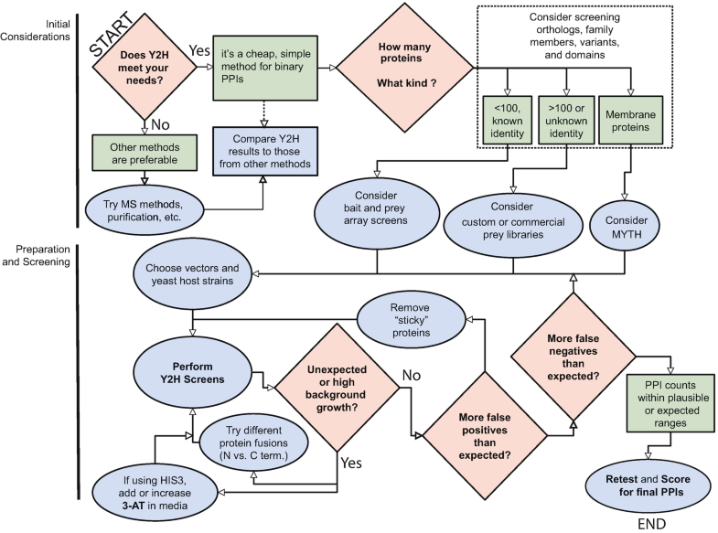 Making the Right Choice: Critical Parameters of the Y2H Systems ...