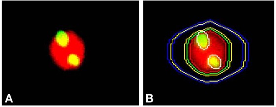 Laser Scanning Cytometry | SpringerLink